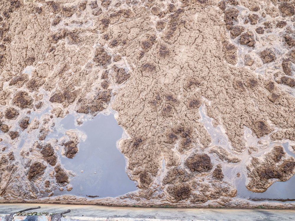 A Closer Look at Traditional Sludge Reduction Methods: Dredging and ...