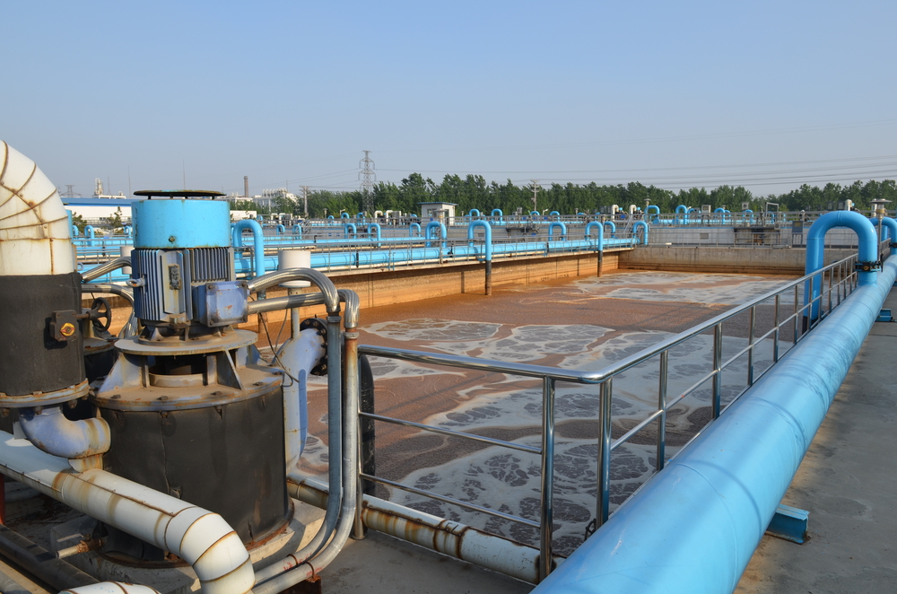 Microbiology Is Key to Optimizing Wastewater Treatment Sustainability ...
